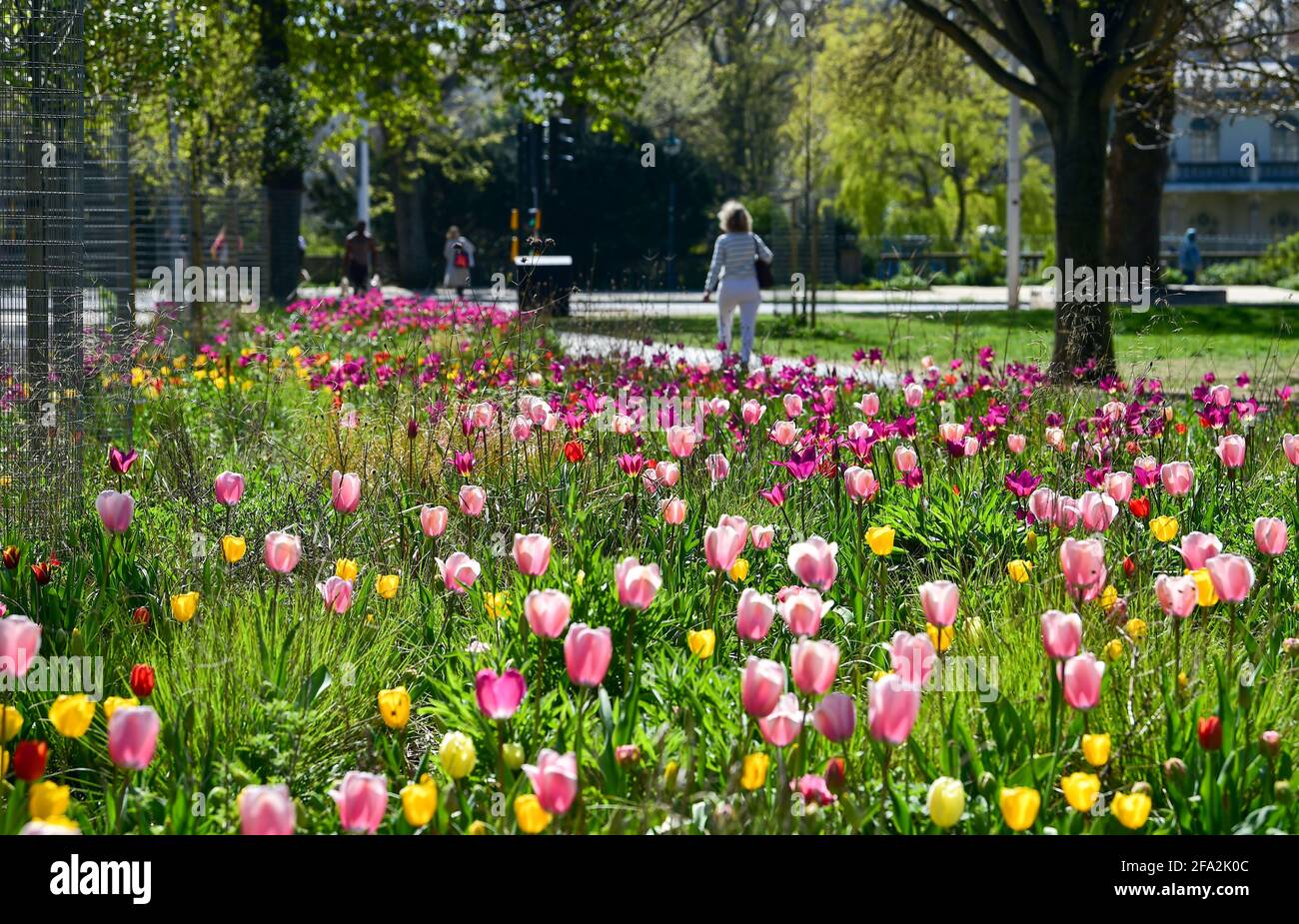 Brighton UK 22nd April 2021 - Passers by walk through a carpet of ...