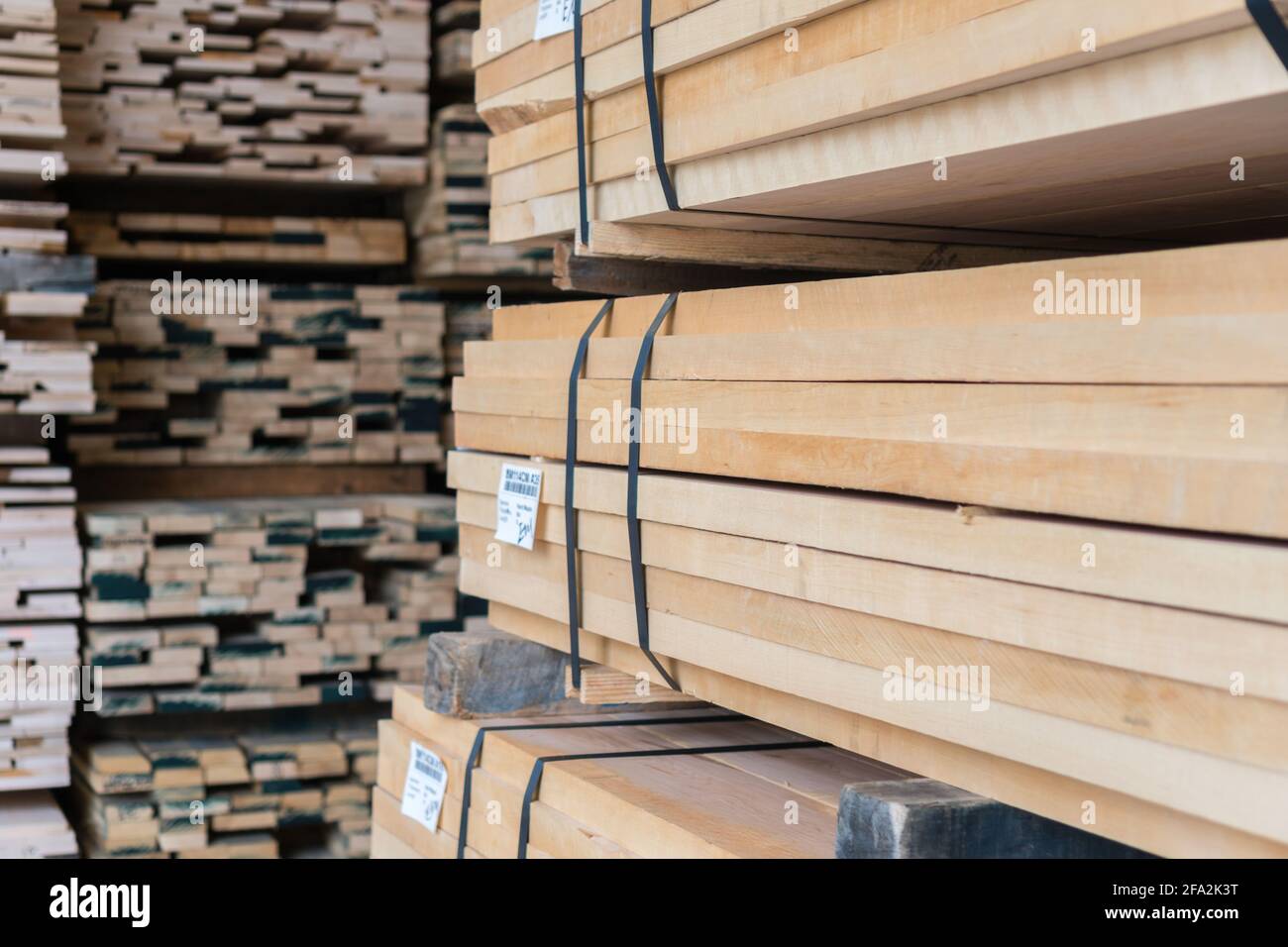 Sustainable Lumber Industry High Resolution Stock Photography and ...
