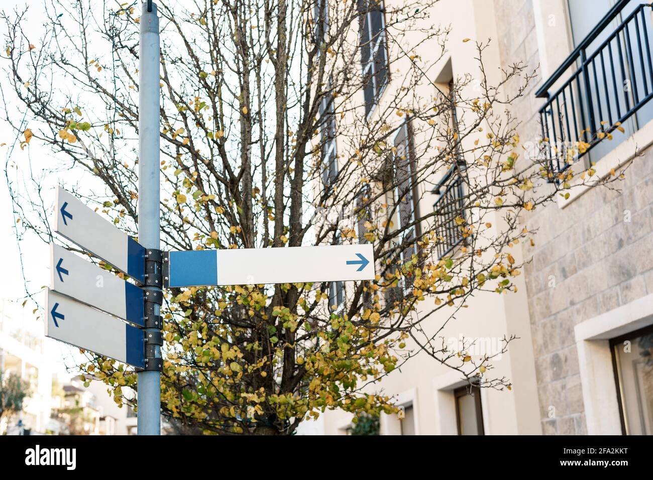 Blank road signs hang on a pole in the street near a building in the ...