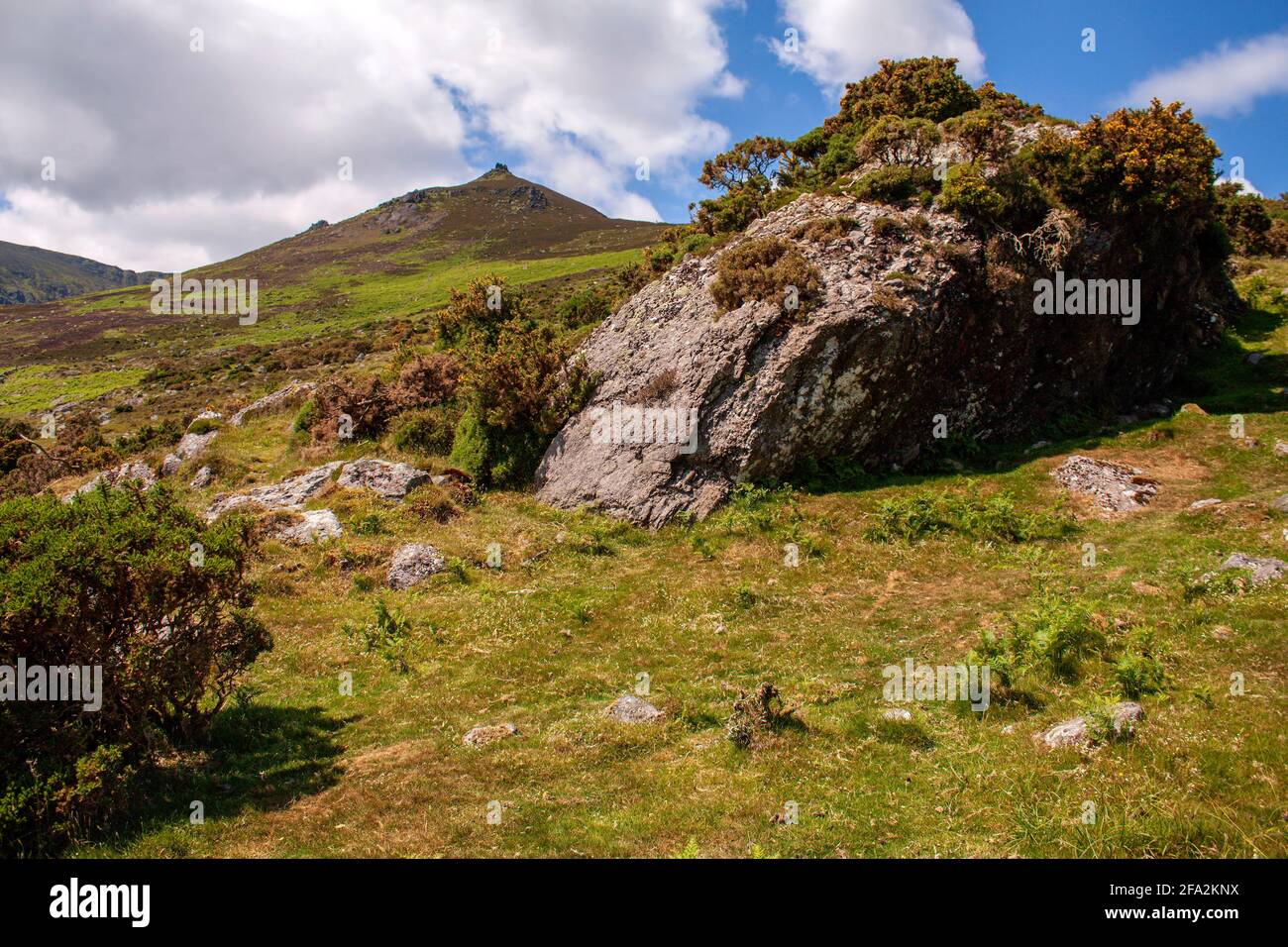 Going to the top of Kilclooney Ridge in the Comeragh Mountains.County ...
