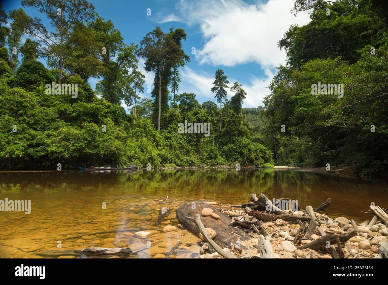 Landscape photograph of the Tembeling River and surrounding jungle ...