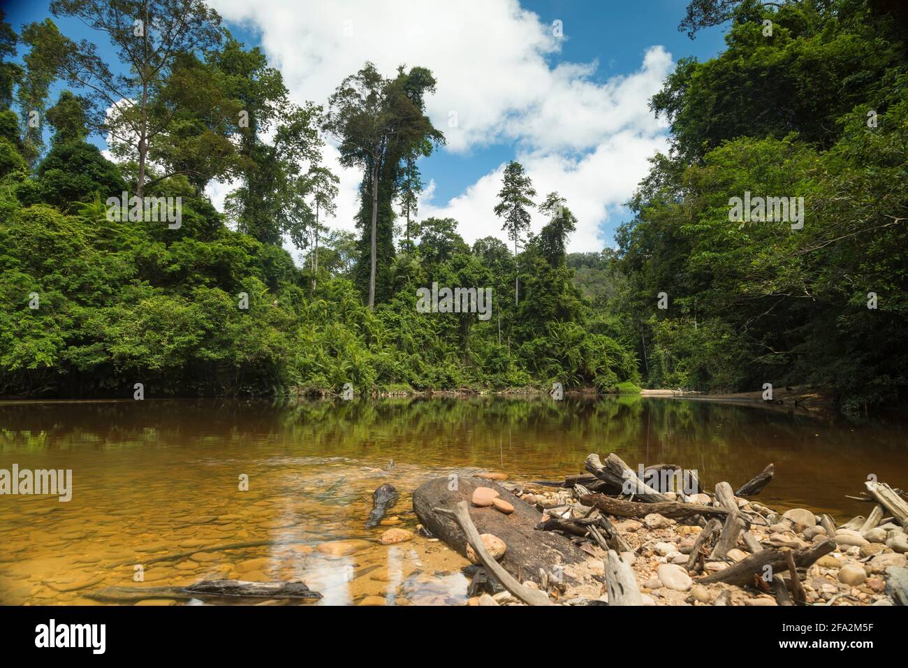 Landscape photograph of the Tembeling River and surrounding jungle ...