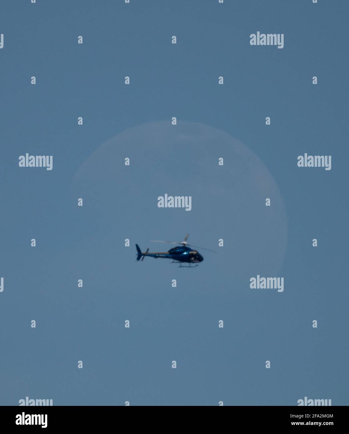 Helicopter airbus helicopters as355 ecureuil hi-res stock photography ...