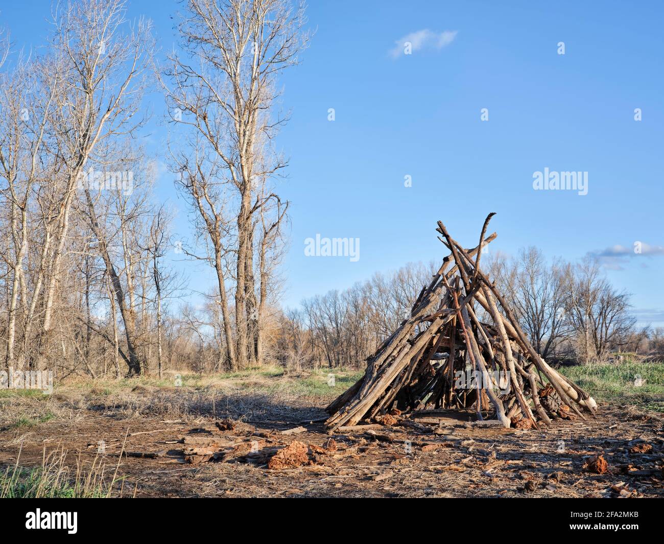 treehouse / tent - a tipi built from sticks by children in a forest ...
