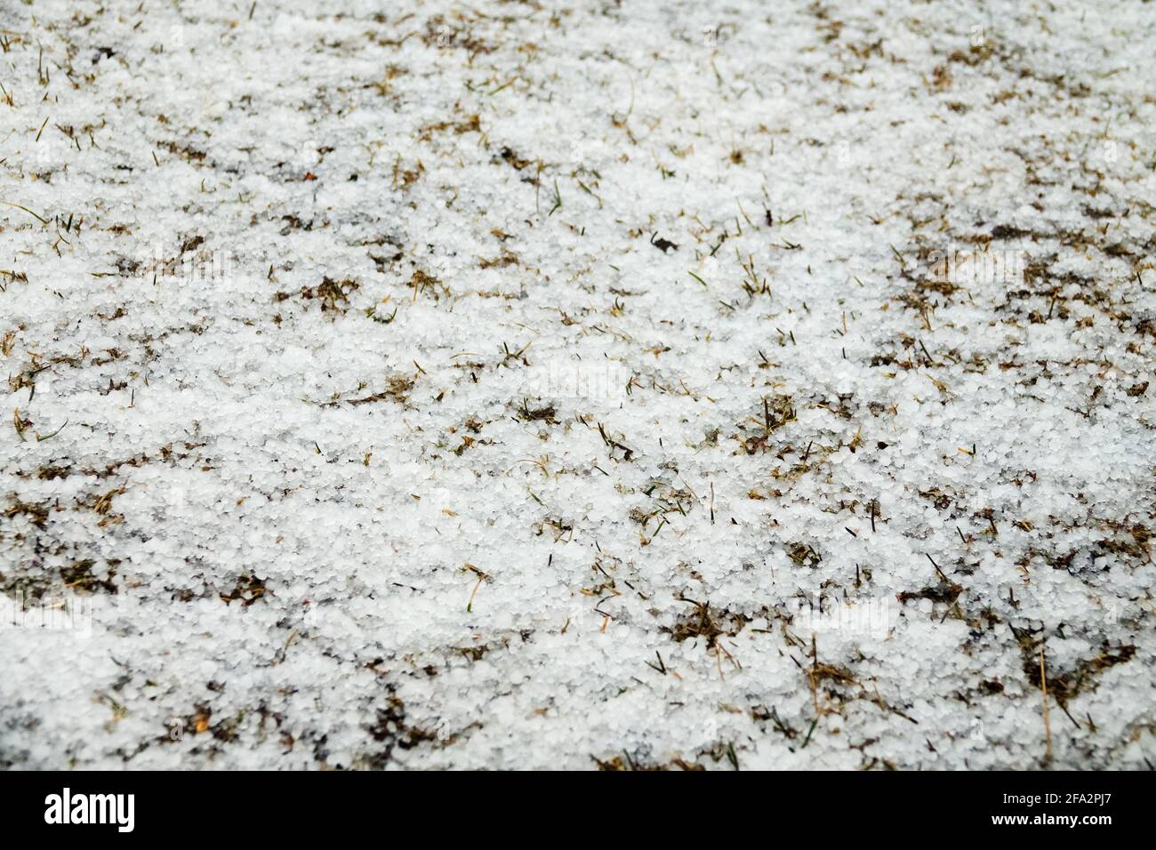 Meteorology. Tapioca snow (graupel, powder snow). Large round dense ...