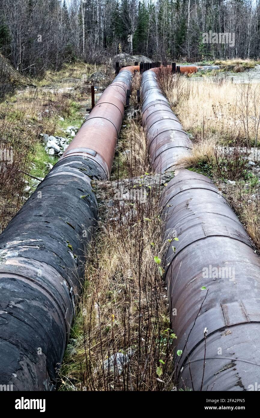 Old pipeline (two branches of iron pipes) in the forest Stock Photo - Alamy