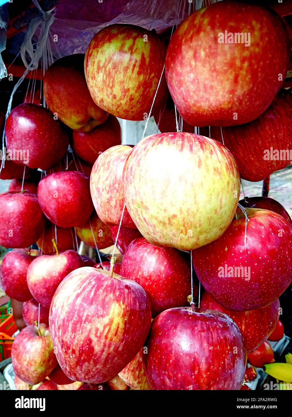 Vertical shot of red apples hanging from threads at the market Stock ...