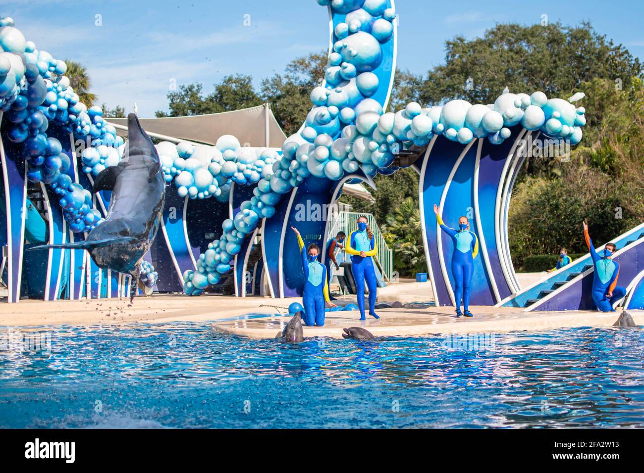 Orlando, Florida. January 14, 2021. Dolphins jumping at Seaworld (24 ...