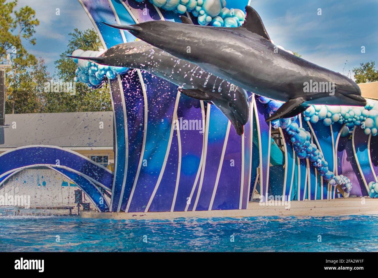 Orlando, Florida. January 14, 2021. Dolphins jumping at Seaworld (25 ...