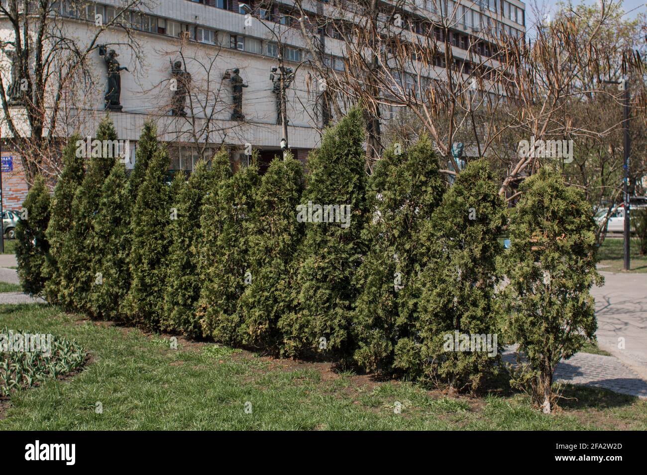 Edge trimming park hi-res stock photography and images - Alamy