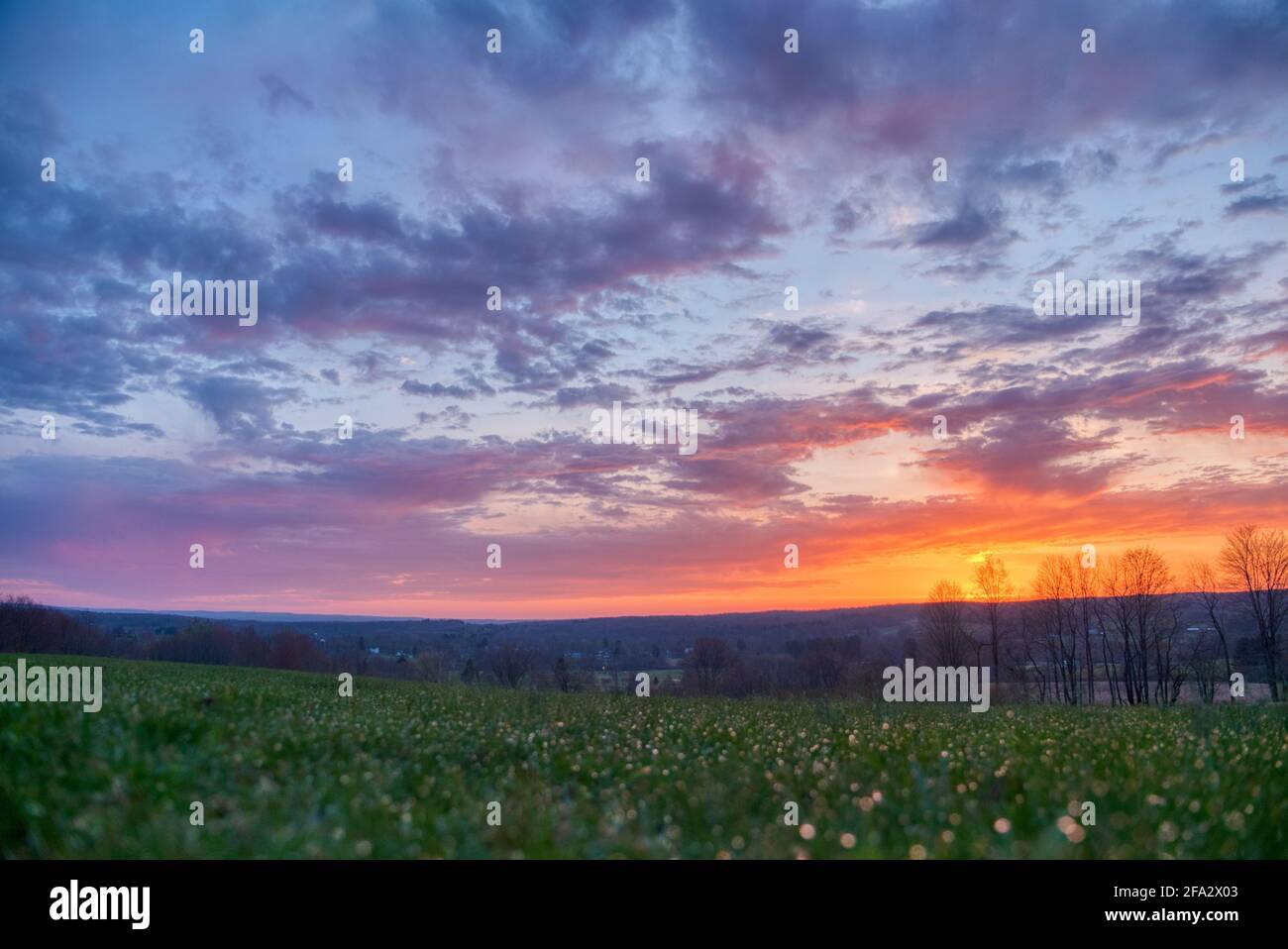 Breathtaking sunset landscape over a grassy field in Venango ...