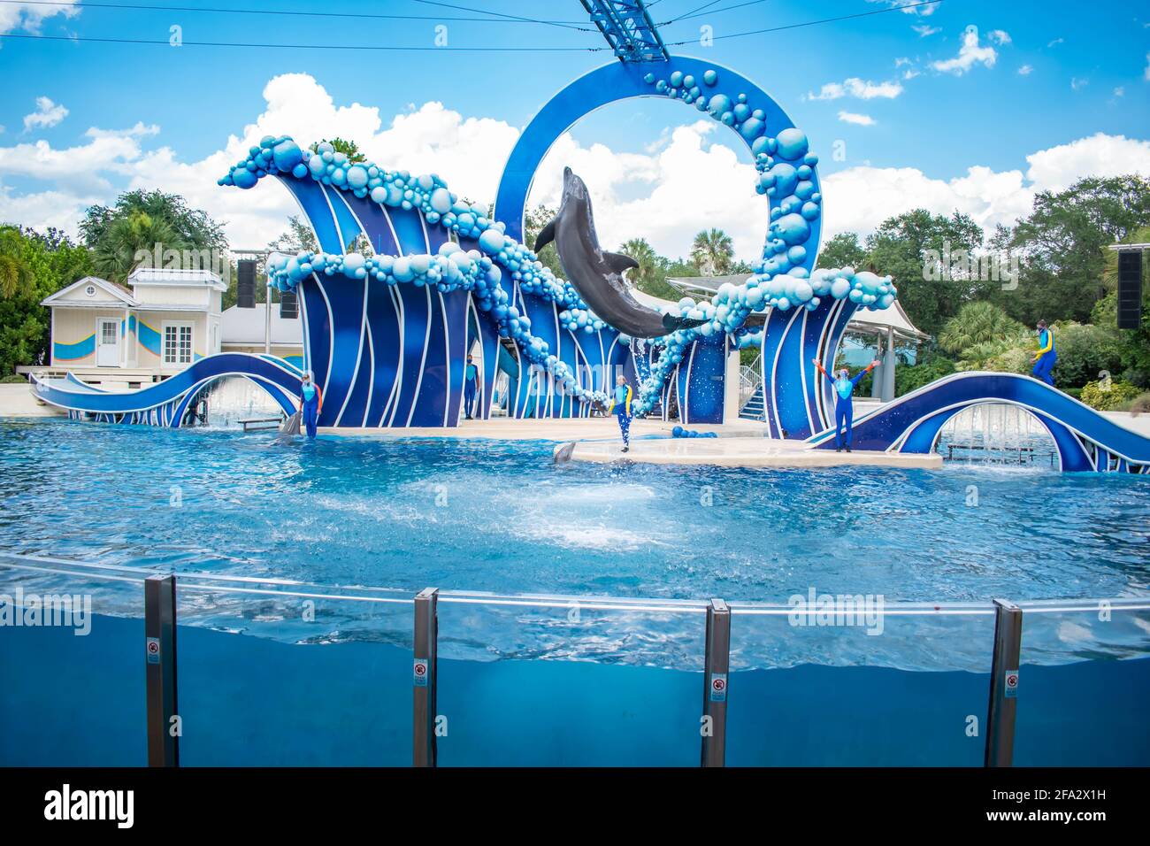 Orlando, Florida June 17, 2020. Dolphin jumping in Dolphin Days Show at ...