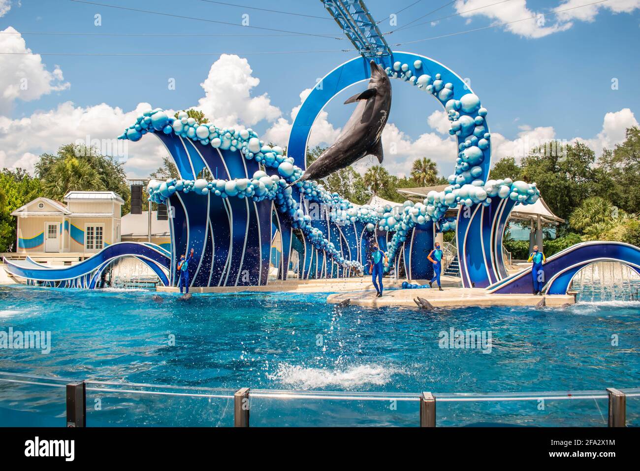 Orlando, Florida June 17, 2020. Dolphin jumping in Dolphin Days Show at ...