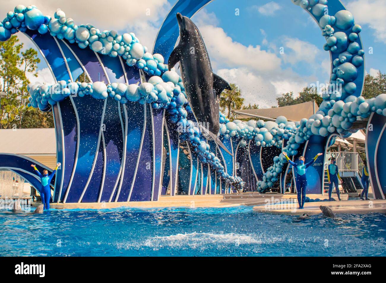 Orlando, Florida. November 20, 2020. Dolphin jumping in Dolphin Days ...