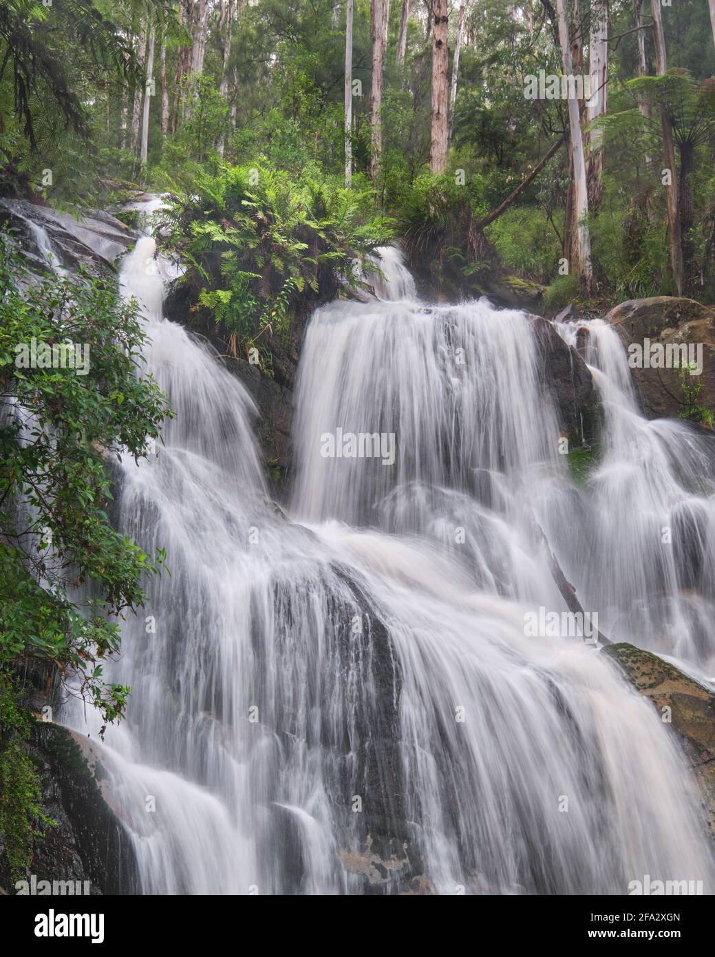 Victoria falls walk hi-res stock photography and images - Alamy