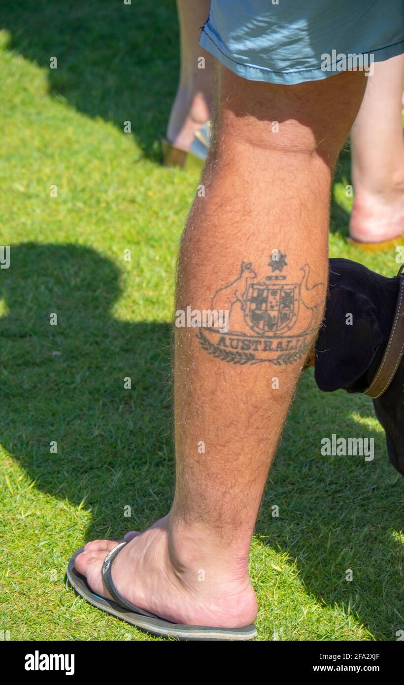 Tattoo of Australian Coat of Arms on a man's leg Stock Photo - Alamy