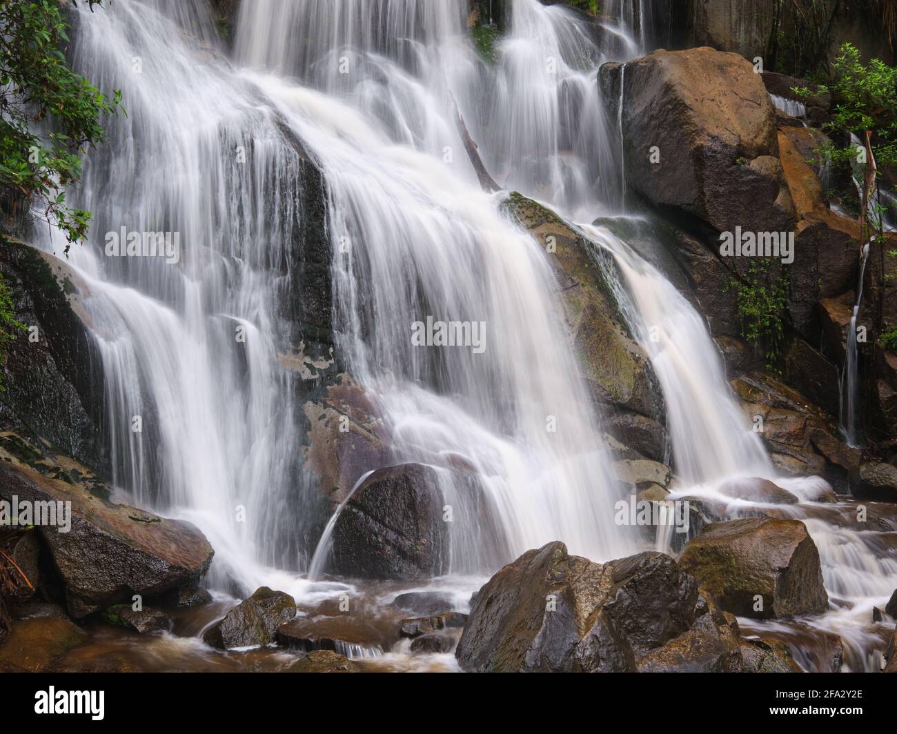 Toorongo River High Resolution Stock Photography and Images - Alamy