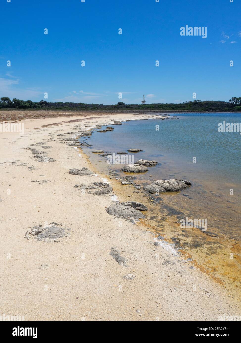 Formation of Stromatolites at shoreline of Lake Thetis near Cervantes ...
