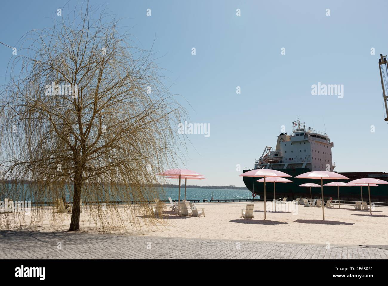 Sugar Beach (Toronto) - willow tree and multiple pink beach umbrellas ...