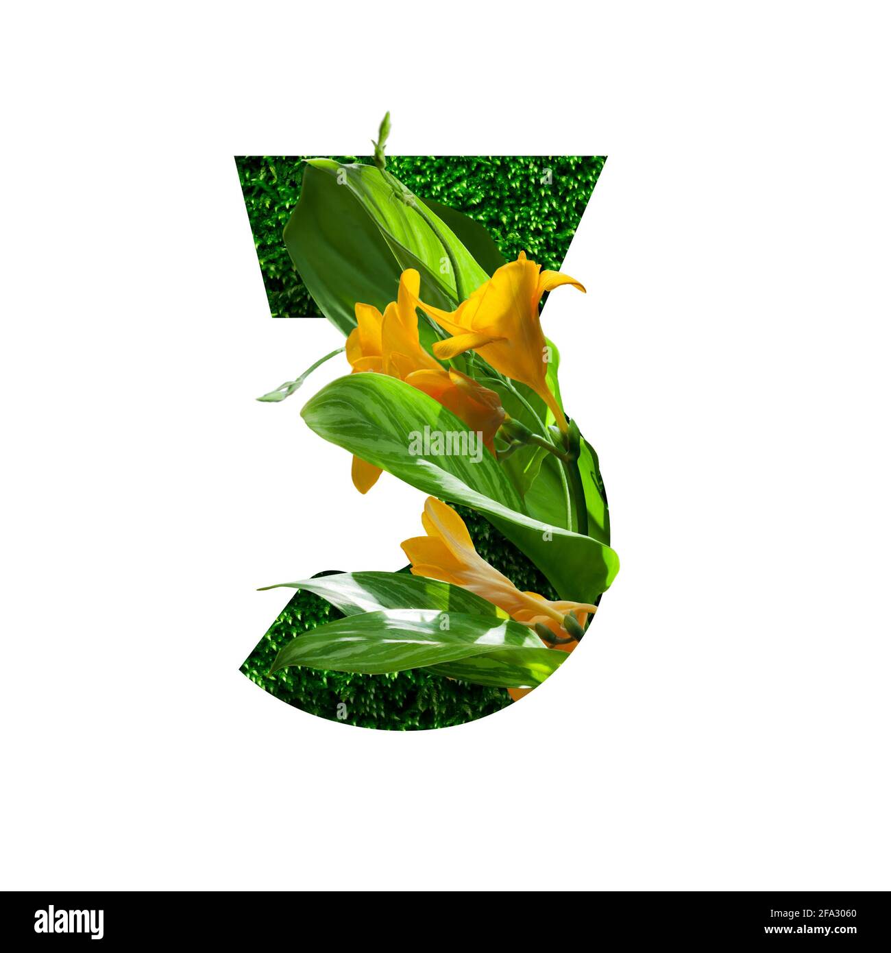 Floral font hi-res stock photography and images - Alamy