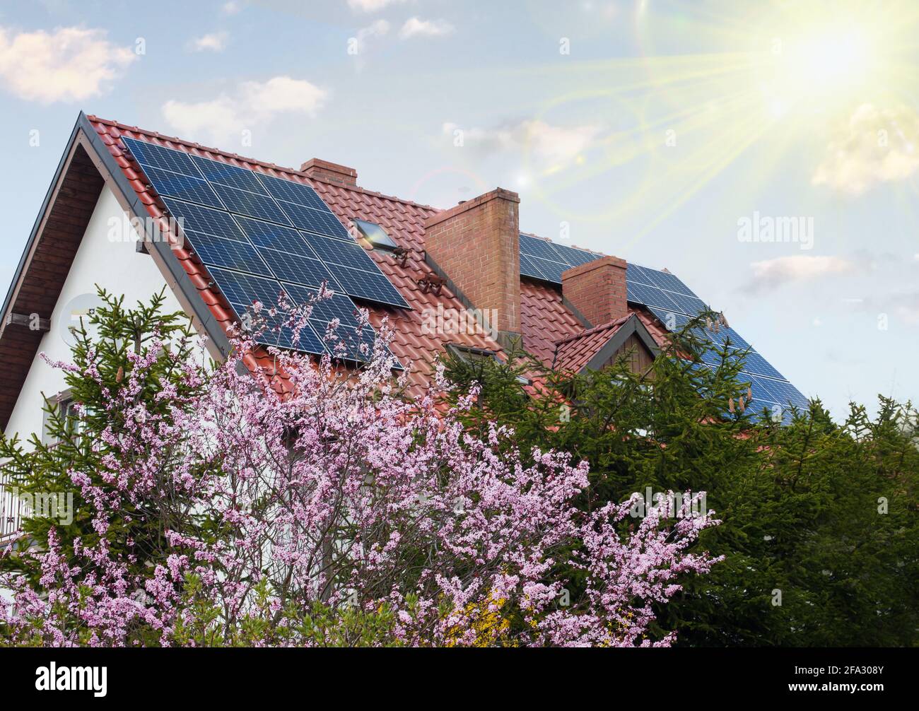 Spring season flowers hi-res stock photography and images - Alamy