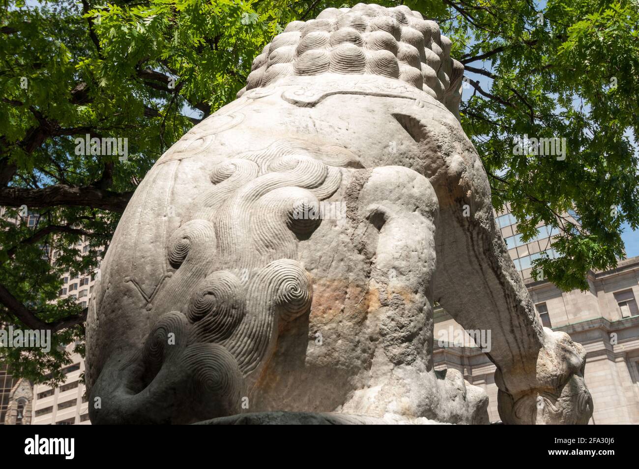 Rear view lion hi-res stock photography and images - Alamy