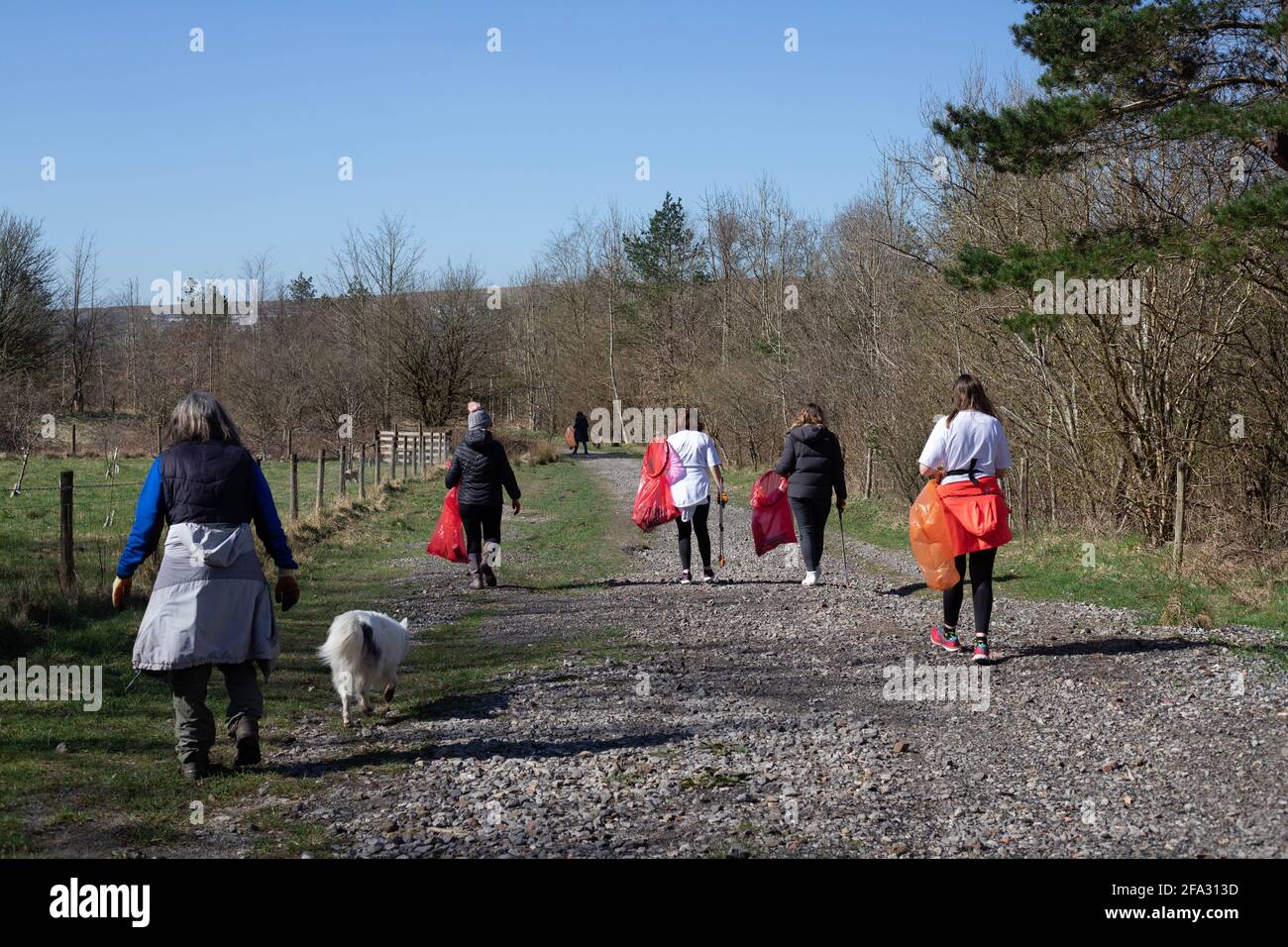 Sirhowy valley woodlands hi-res stock photography and images - Alamy