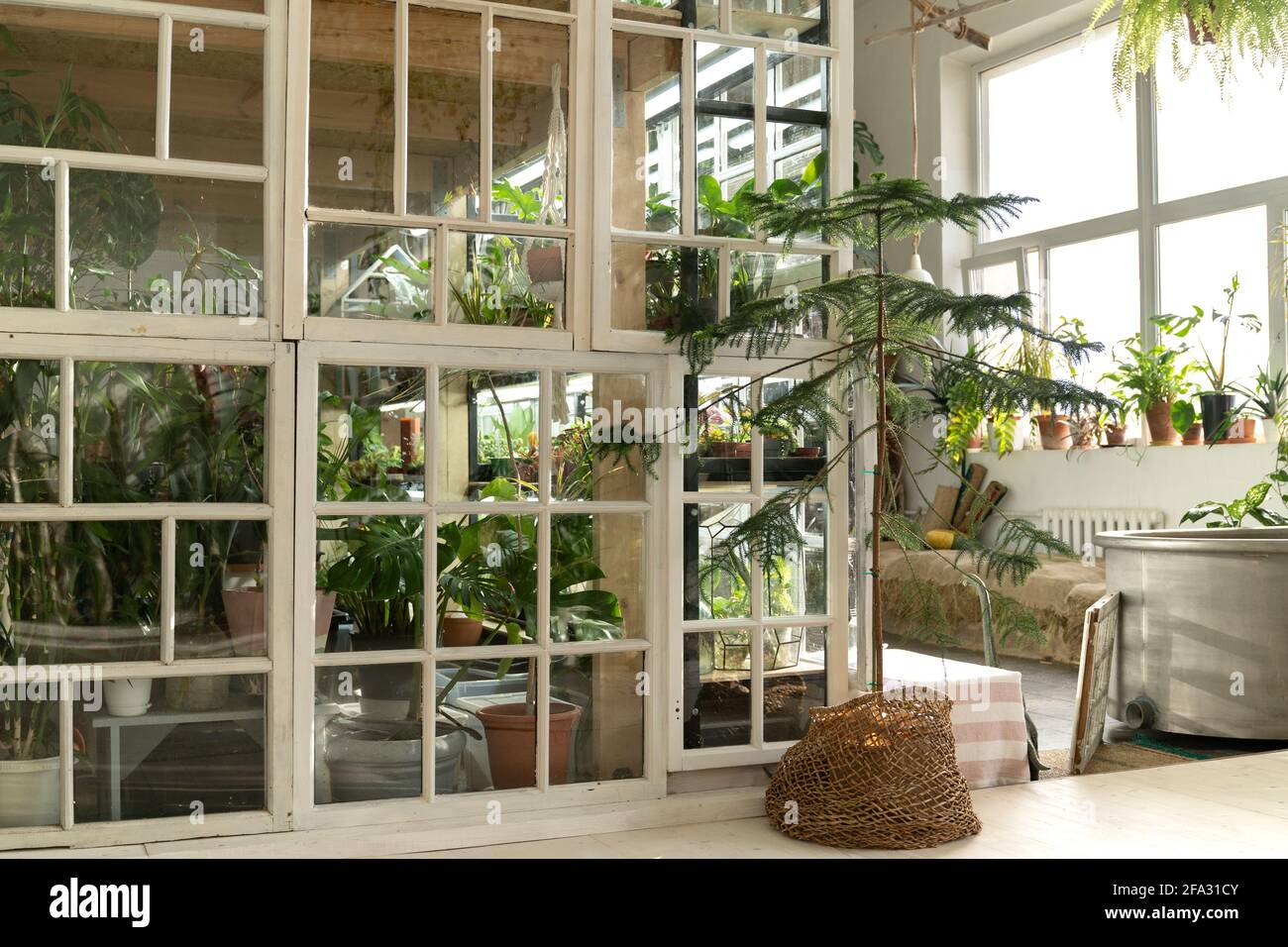 Retro houseplant hi-res stock photography and images - Alamy