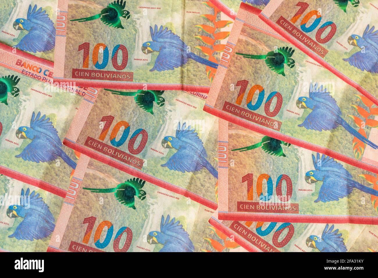 Parrot money hi-res stock photography and images - Alamy