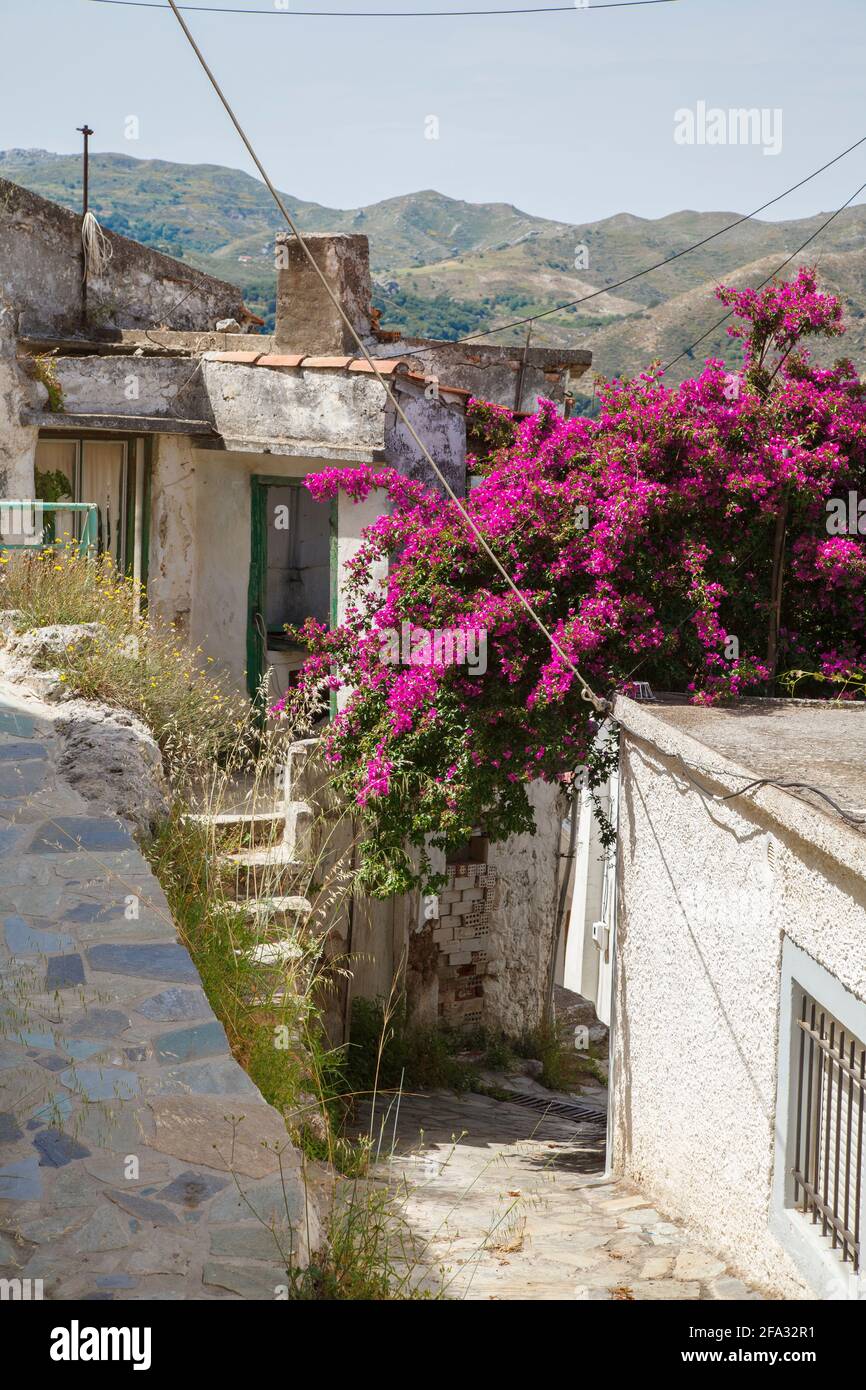 Spili, Crete, Greece, Europe. Street with old typical houses. Photo V.D ...
