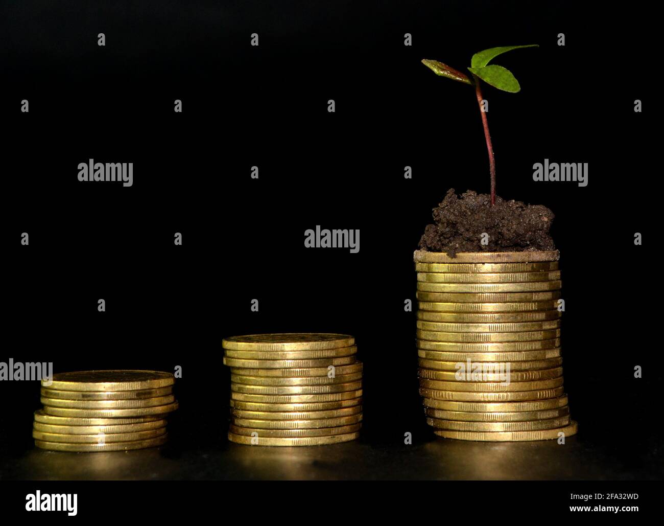Business investment growth concept. tree piles of coins with small ...