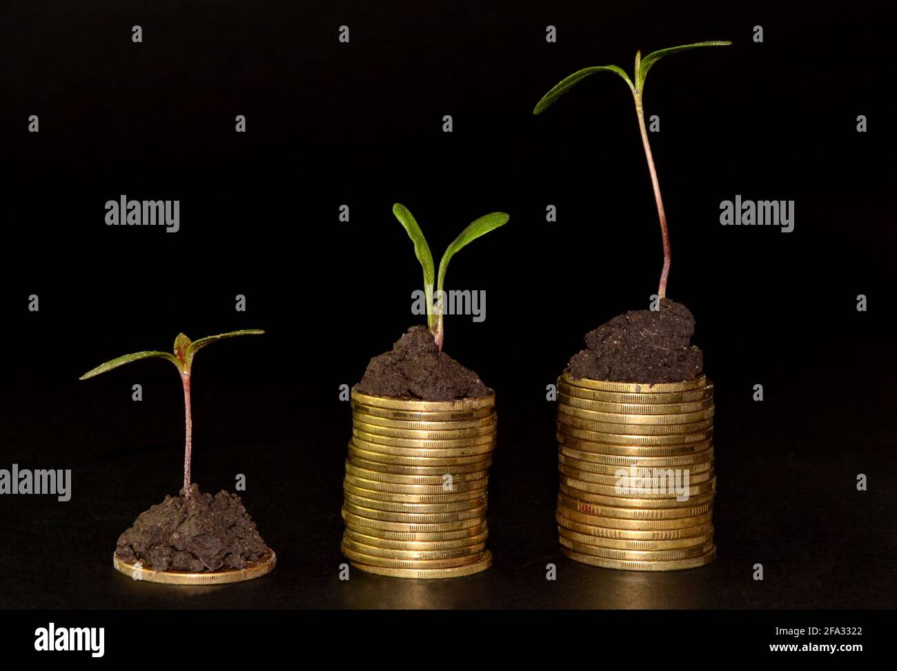 Business investment growth concept. tree piles of coins with small ...