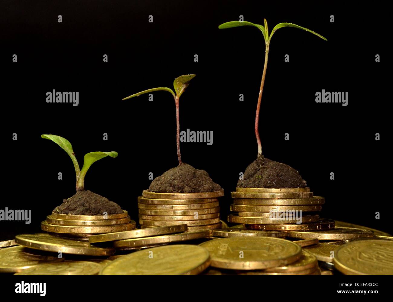 Accounting tree hi-res stock photography and images - Alamy