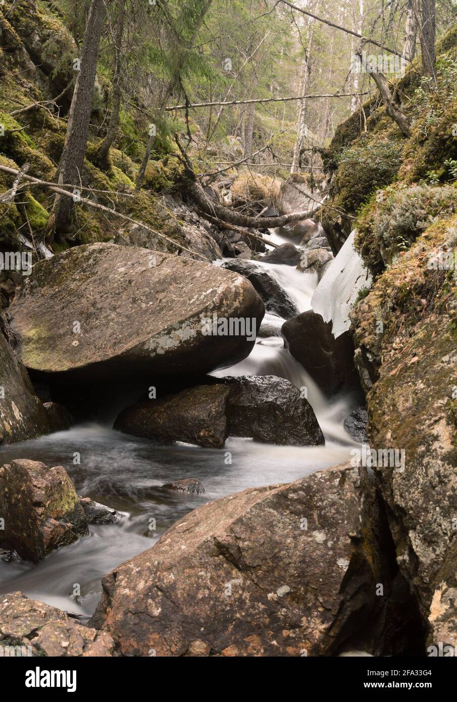 Natural river in wilderness Stock Photo - Alamy