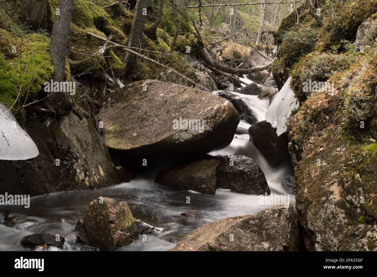 Natural river in wilderness Stock Photo - Alamy