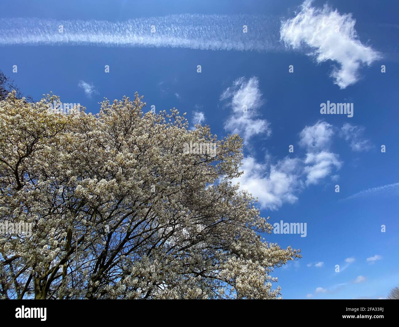 Ruhr in hi-res stock photography and images - Alamy