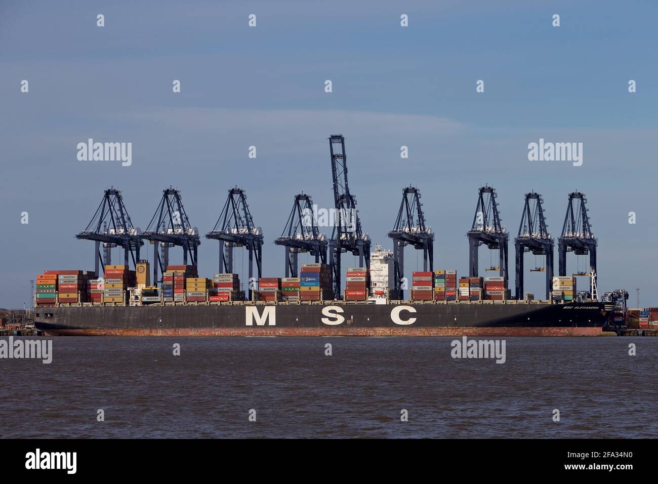Container ship MSC Alexandra docked at the Port of Felixstowe, Suffolk ...