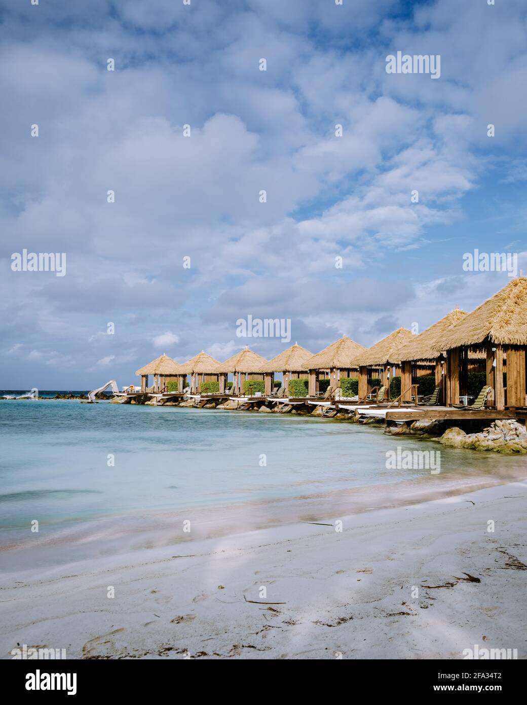 Aruba March 2021 beach with pink flamingos at the beach, , Renaissance ...