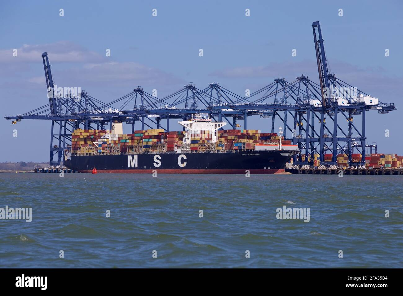Container ship MSC Regulus docked at the Port of Felixstowe, Suffolk ...