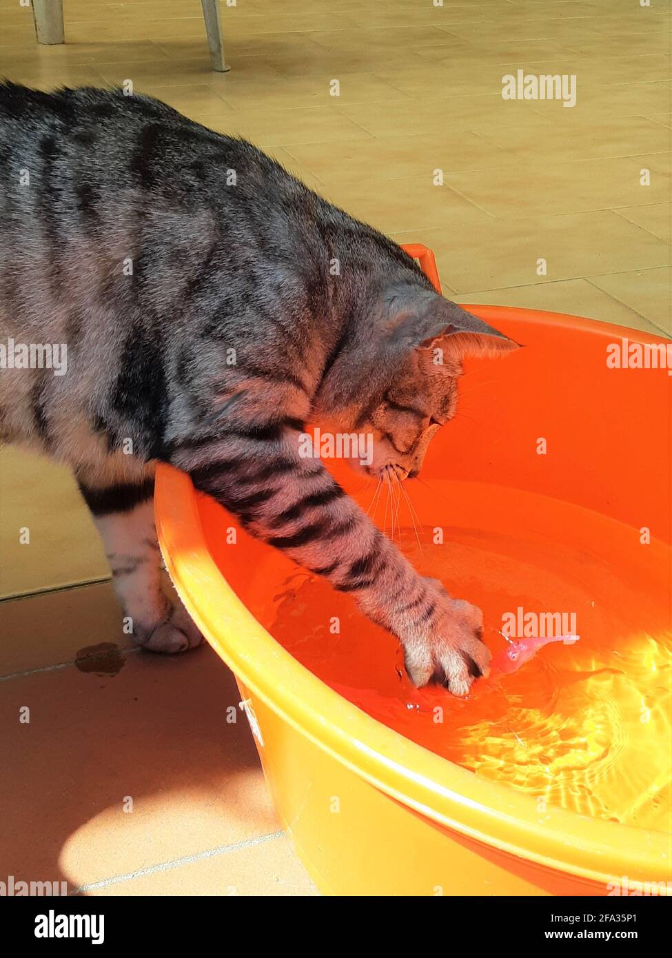 Play water hi-res stock photography and images - Alamy