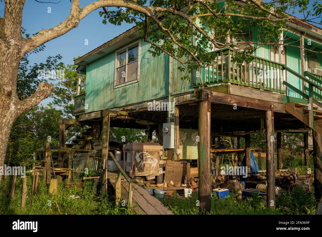Chitimacha tribe hi-res stock photography and images - Alamy