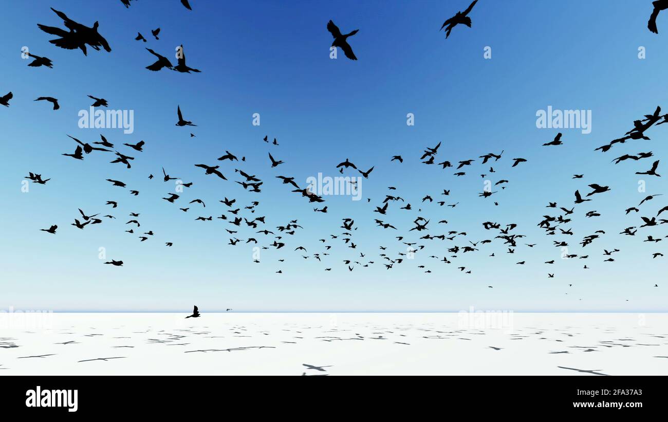 3D illustration - Flock of birds flying across the screen Stock Photo ...