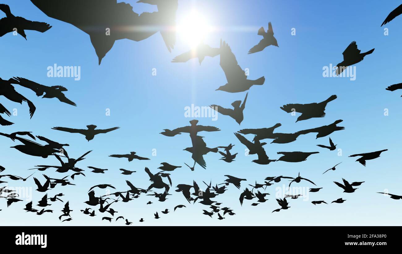 3D illustration - Flock of birds flying across the screen Stock Photo ...