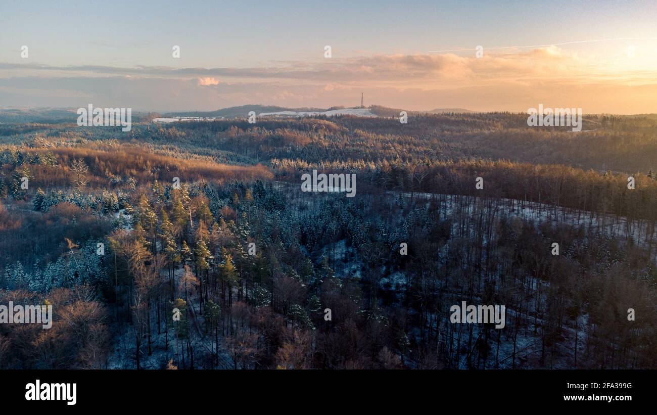 Temperate broadleaf and mixed forests hi-res stock photography and ...