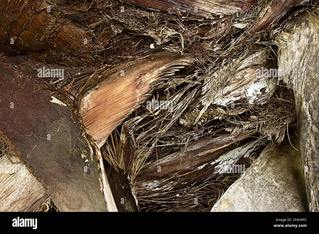 Barks stacked hi-res stock photography and images - Alamy