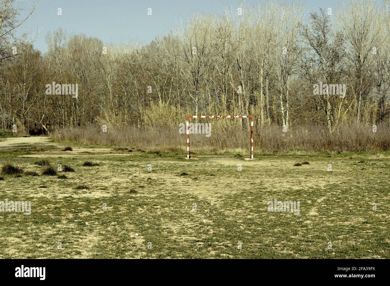 Yellow-green field with a football gate and dry trees under a clear sky ...