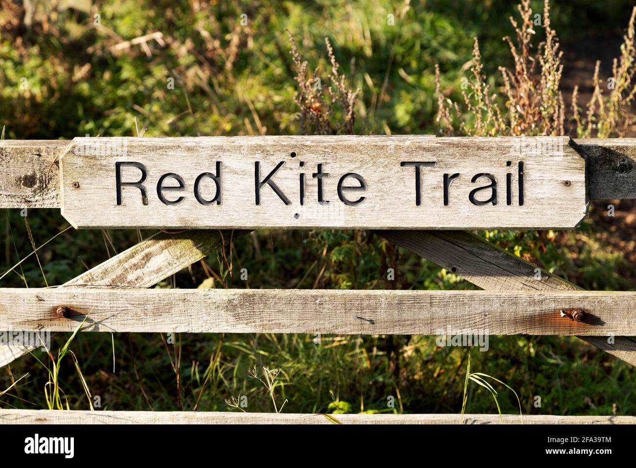 Sign for the Red Kite Trail in woodland on the outskirts of Gateshead ...
