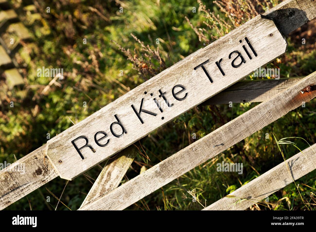 Sign for the Red Kite Trail in woodland on the outskirts of Gateshead ...