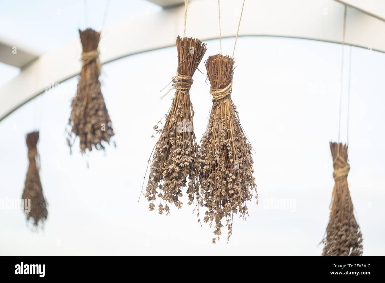 Hanging lavender bunches hi-res stock photography and images - Alamy