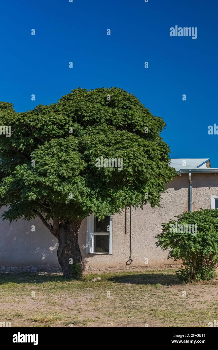 Ranch house at Empire Ranch, preserved in the Empire Ranch and Las ...